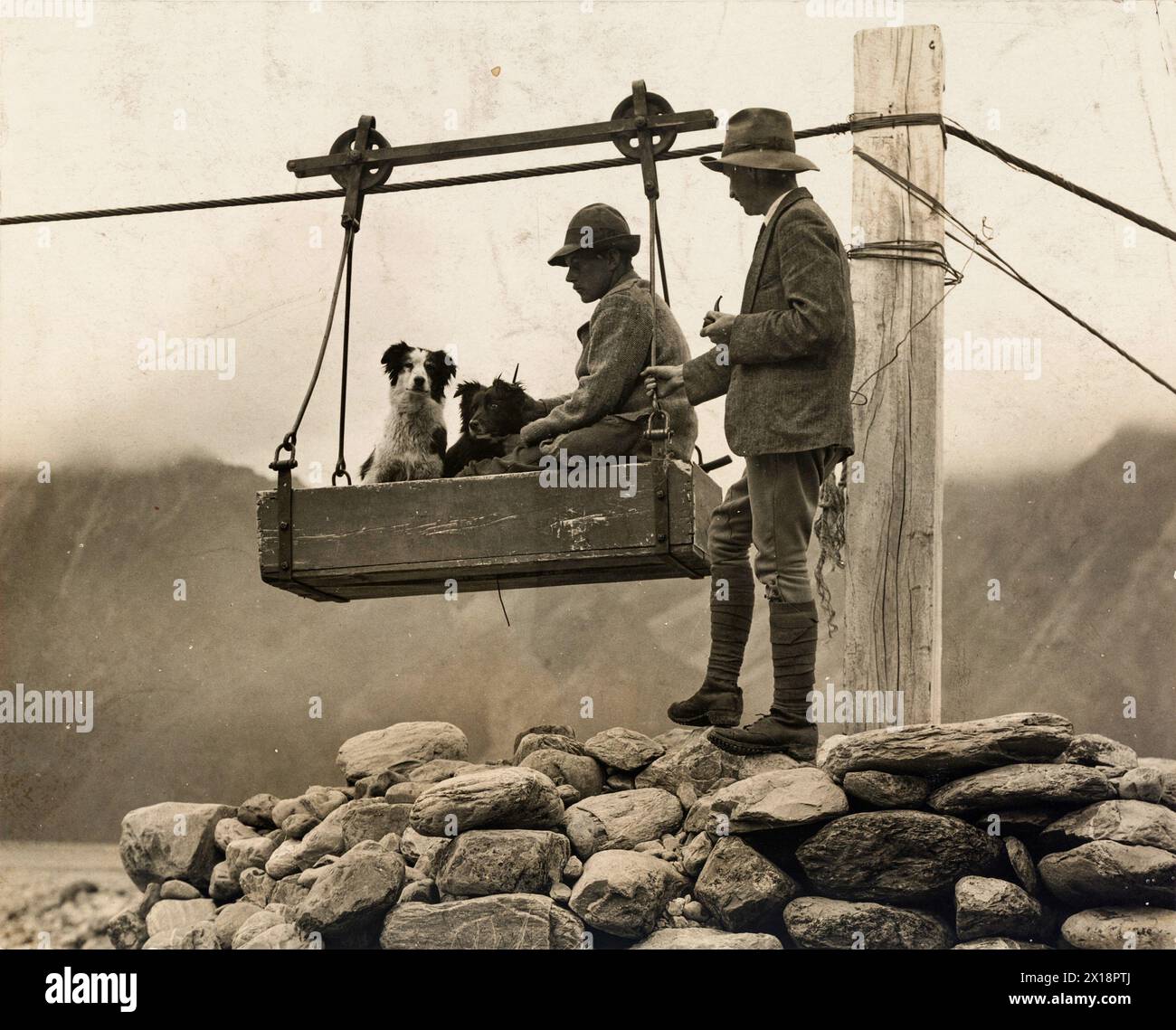 Boy and two dogs in a box cable-car in an alpine landscape, New Zealand ...