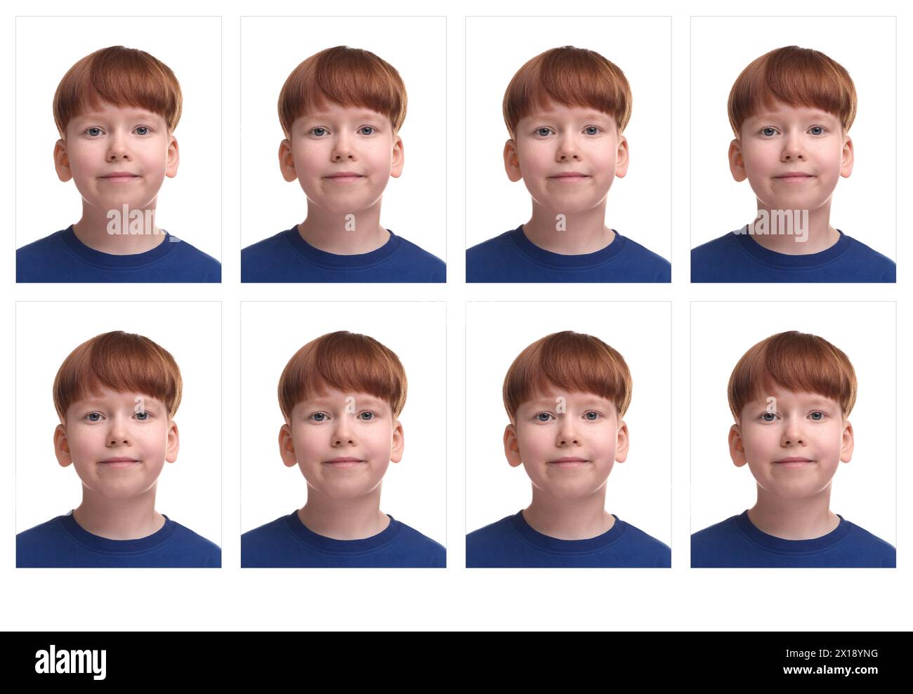 Passport photo, collage. Boy on white background, set of photos Stock ...