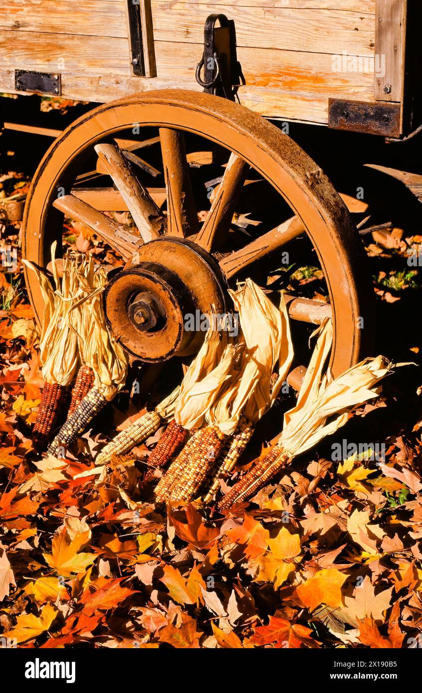 Autumn leaves and wagon wheel Stock Photo - Alamy
