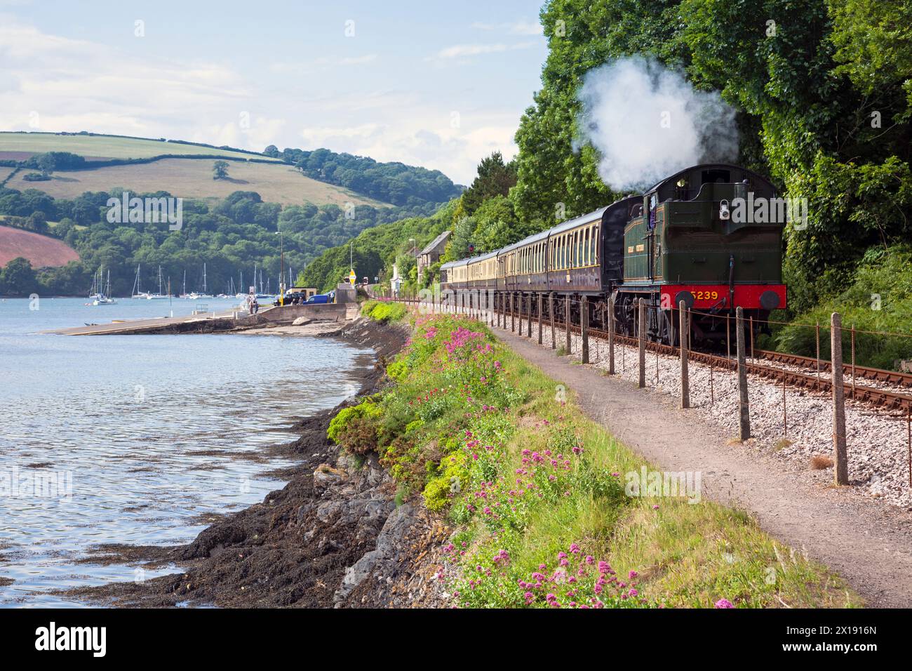England, Devon, GWR Steam Locomotive No. 5239 'Goliath' approaching ...
