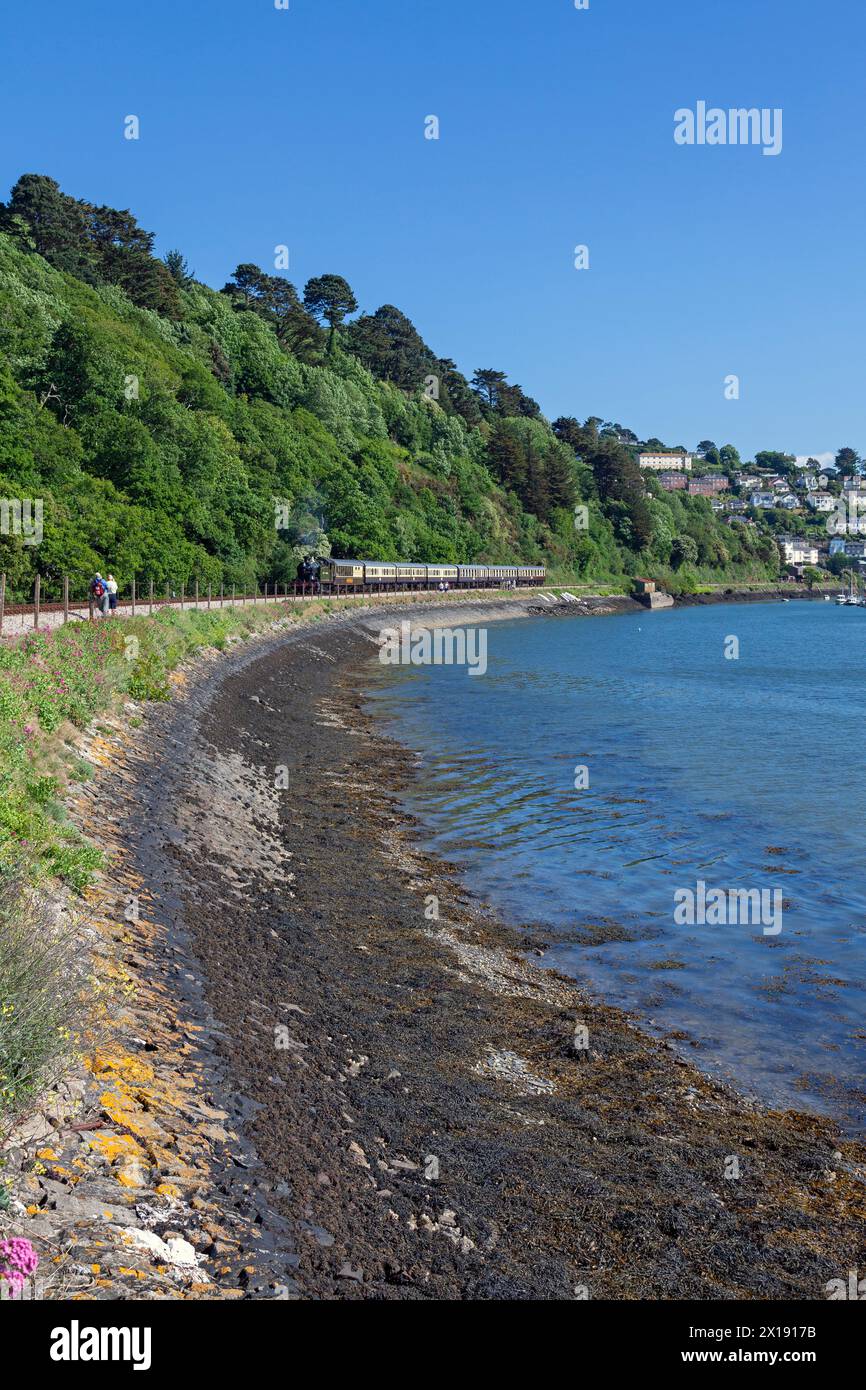 UK, England, Devon, GWR Steam Locomotive No. 5239 'Goliath' departing ...
