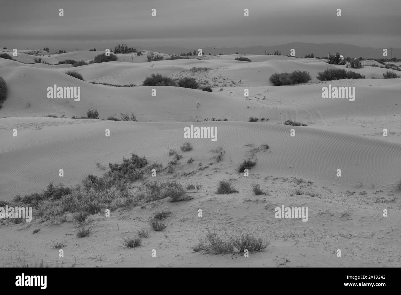Tengger desert scenery, Inner Mongolia, China. The windy weather with ...