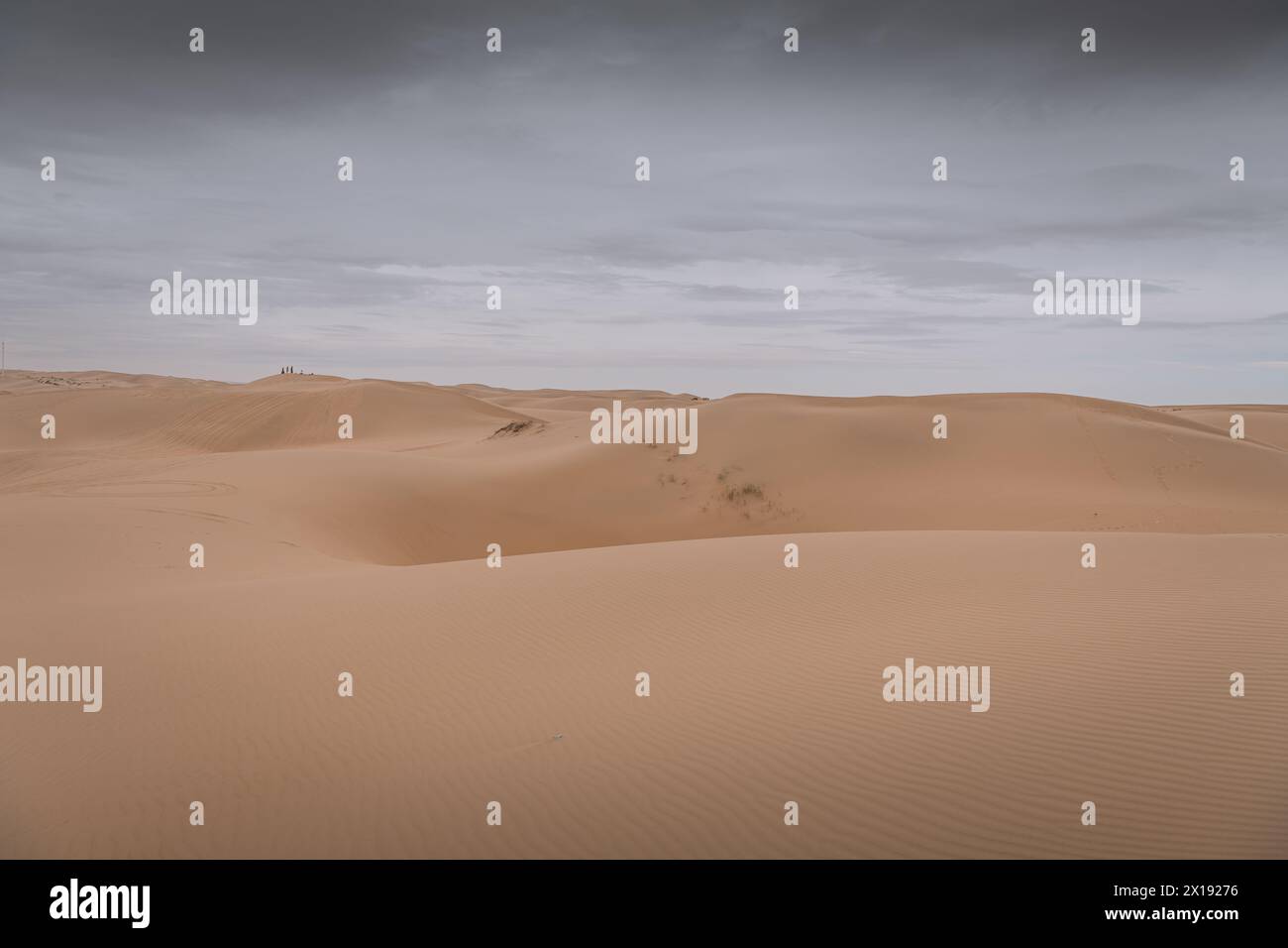 The Gobi desert landscape with the massive dunes and people far away ...