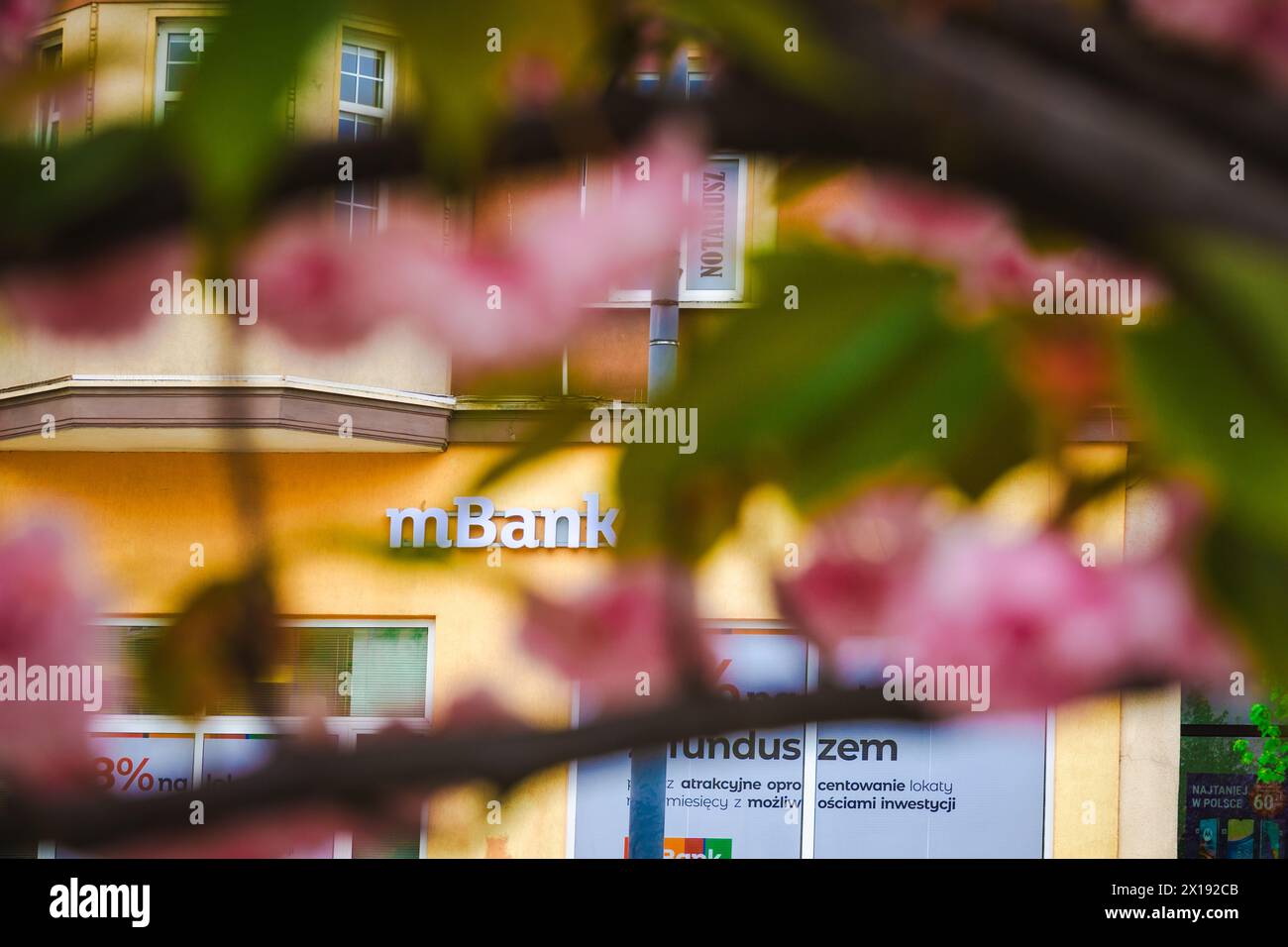 Walbrzych, Poland - 16 april 2024: Branch of mbank polish bank ...