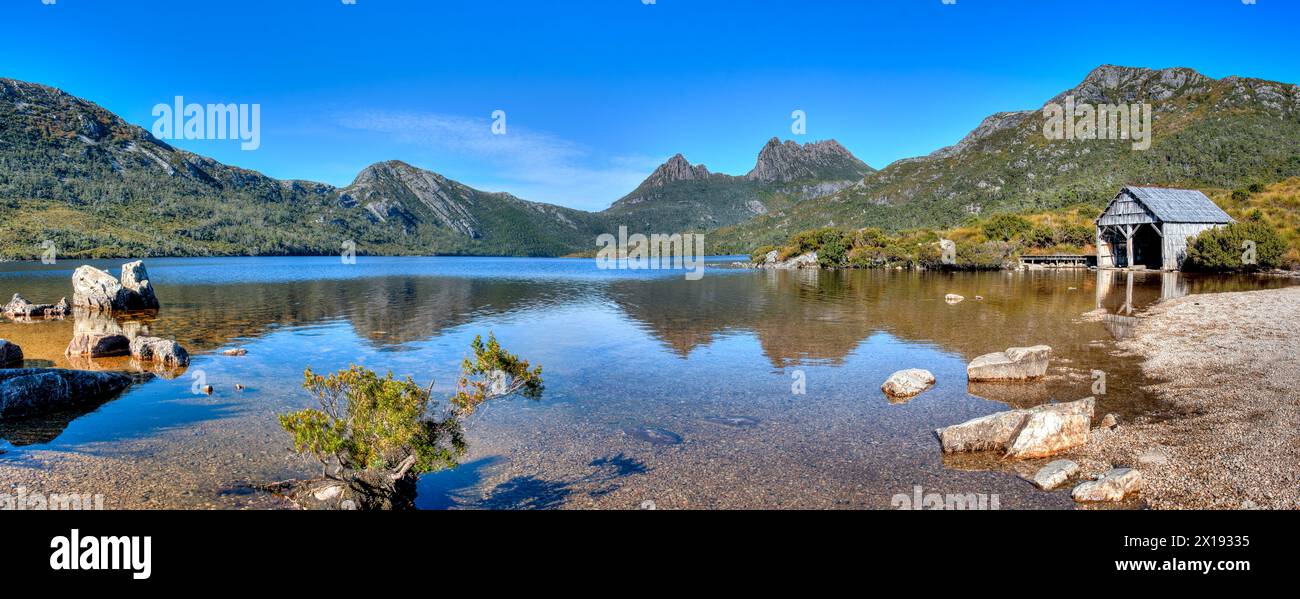 Dove reflected in water hi-res stock photography and images - Alamy