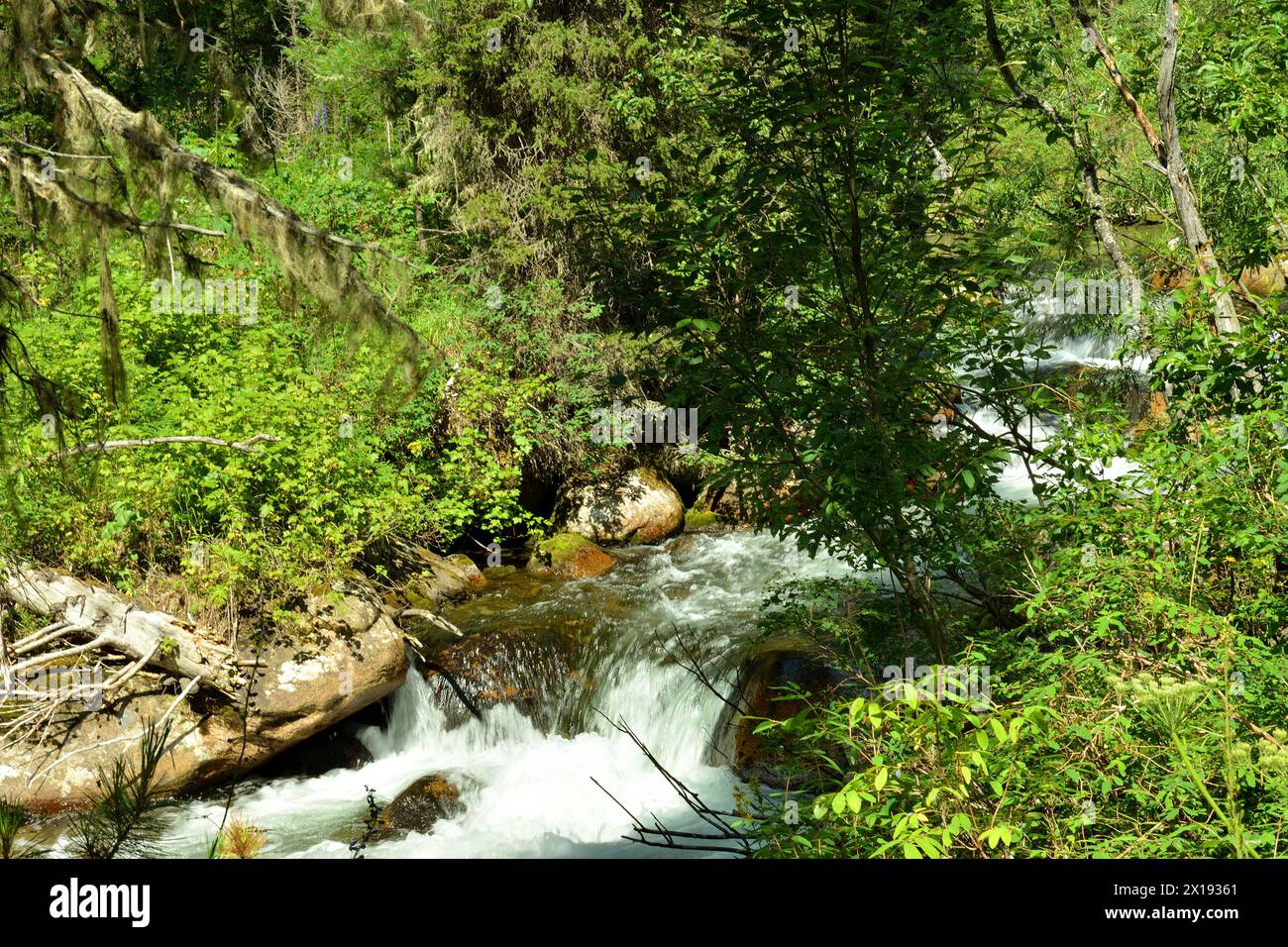 Beauty waterfall moving on stones hi-res stock photography and images ...
