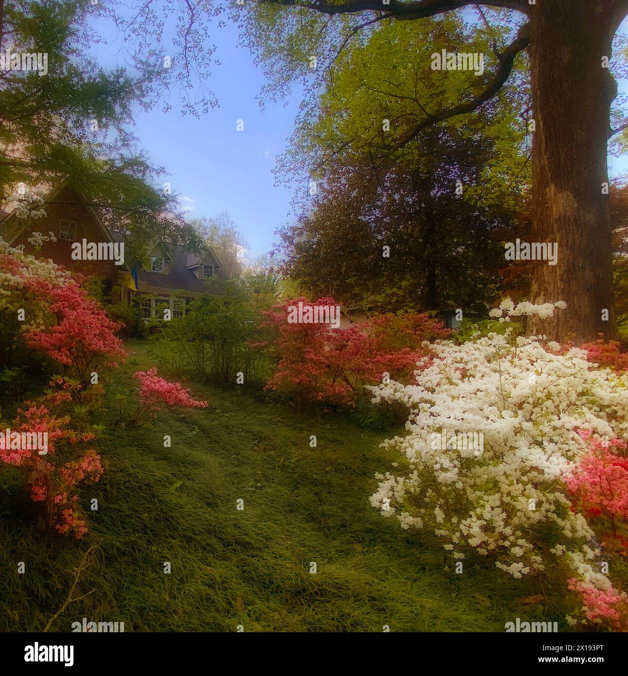 Atlanta georgia spring hi-res stock photography and images - Alamy