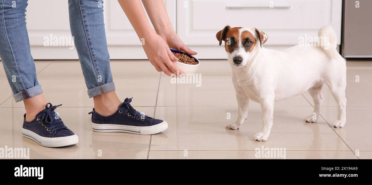 Woman feeding dog hands hi-res stock photography and images - Alamy