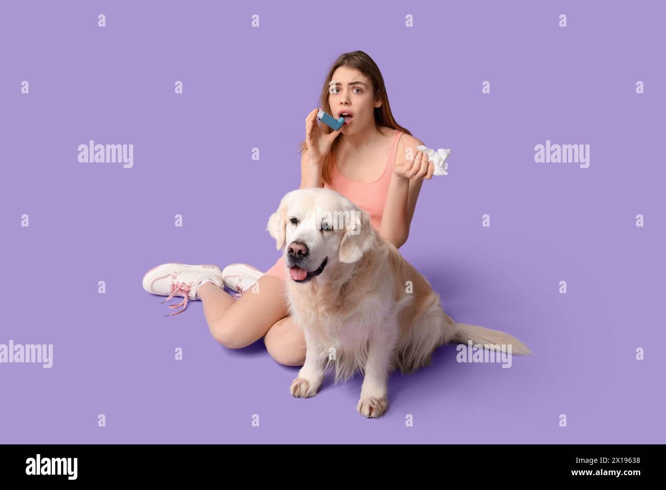 Young woman suffering from pet allergy with labrador dog on purple ...