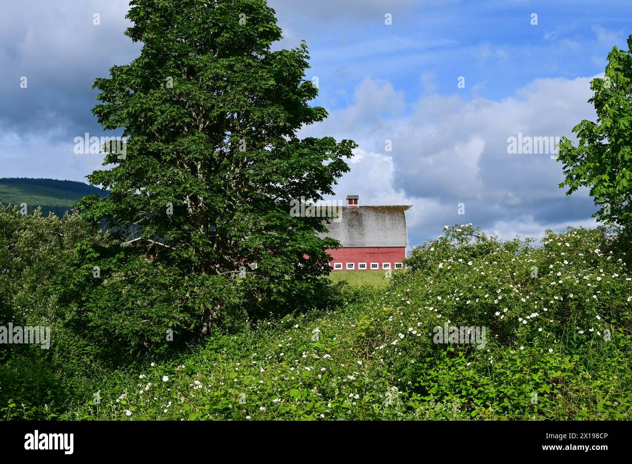 Olympic mountains in sequim washington hi-res stock photography and ...