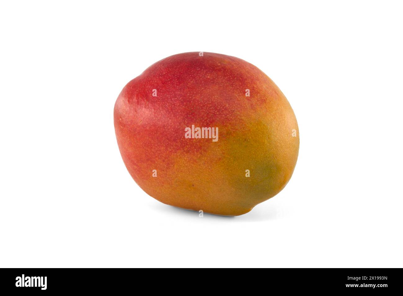 Ripe mango fruit with a blend of red and yellow tones on their skin ...