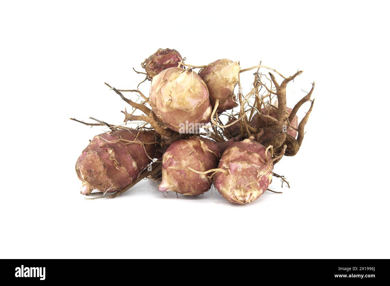 Sunchokes tubers with roots isolated on white background. Jerusalem ...
