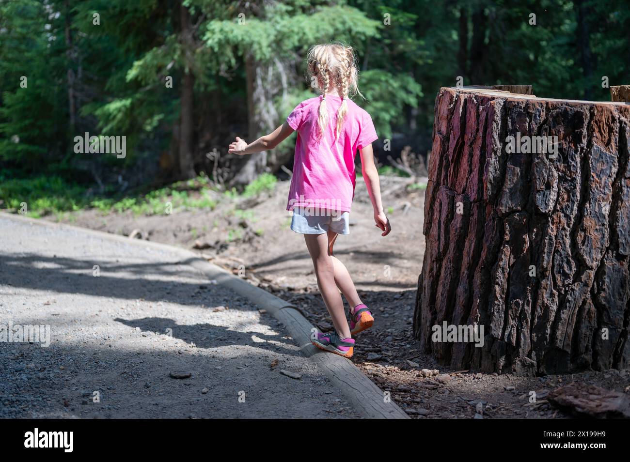 Young girl balancing on a log while hiking on a path in the woods Stock ...