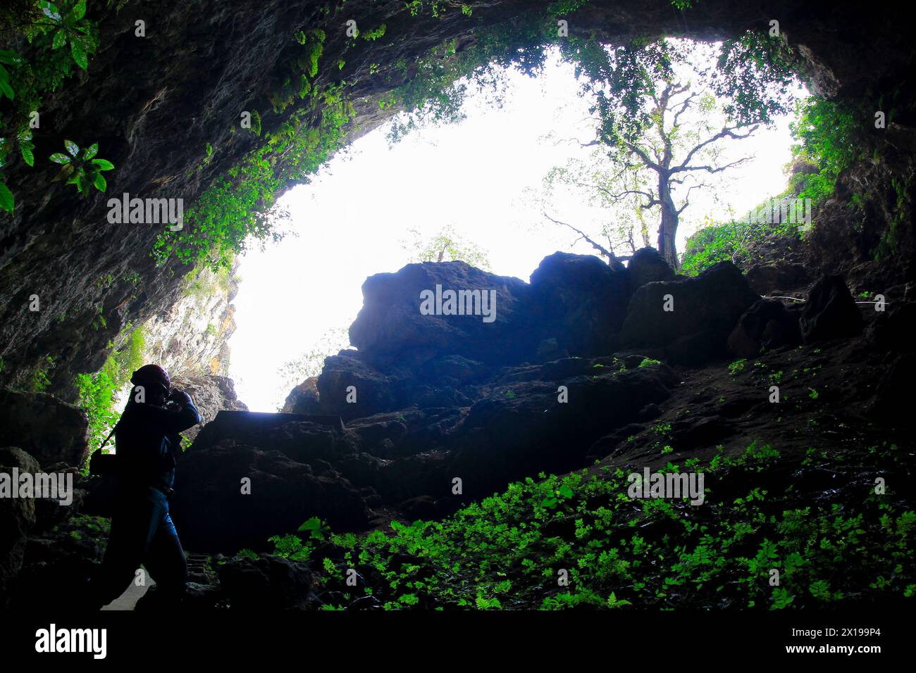 A view from inside mouth of Gilap cave in Gunungsewu karst. Karst area ...