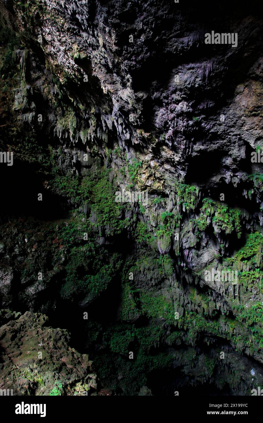 A view of ornamentation covered with green moss at mouth of Karst ...