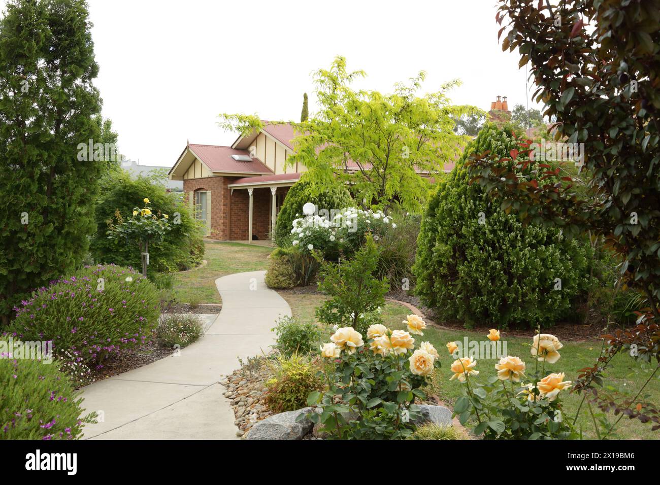 GARDEN SCENE FEATURING WINDING PATH, ROSE GARDEN AND ASSORTED SHRUBS ...