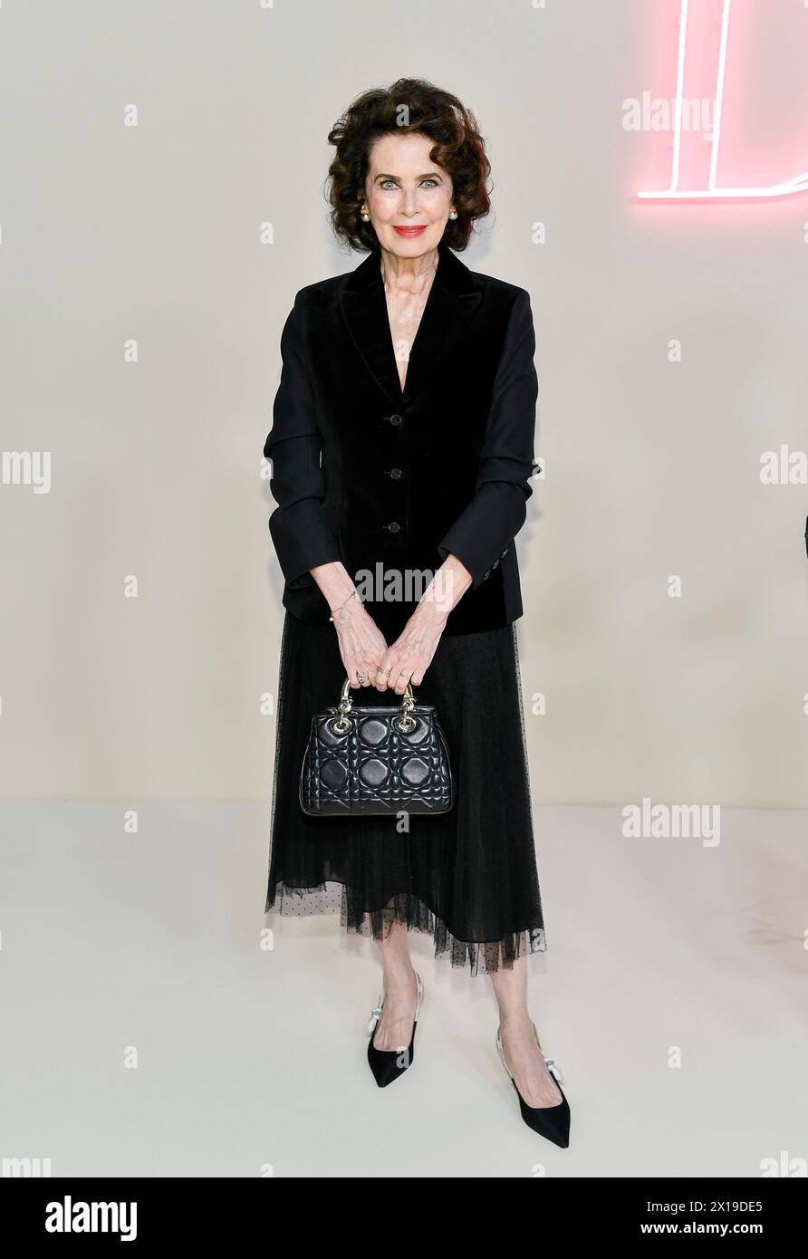 Dayle Haddon attends the Dior Pre-Fall 2024 fashion show at the ...