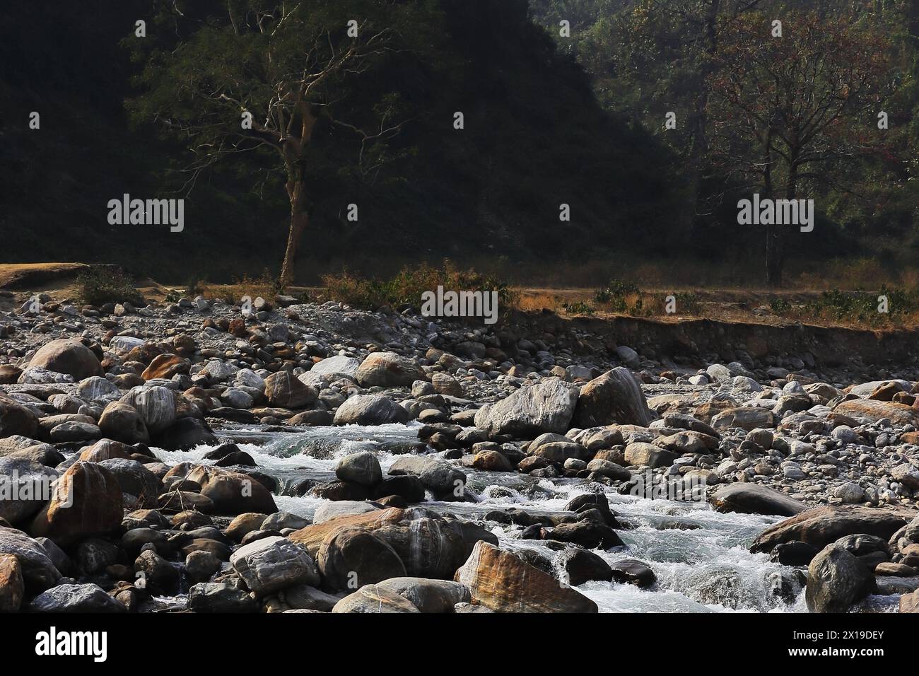 terai-dooars region of west bengal at dudhia. beautiful mountain stream ...