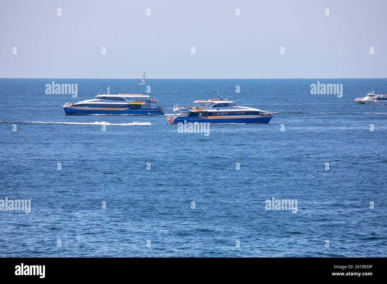 Two NRMA Manly Fast ferries, pass each other in the Sydney heads, one ...