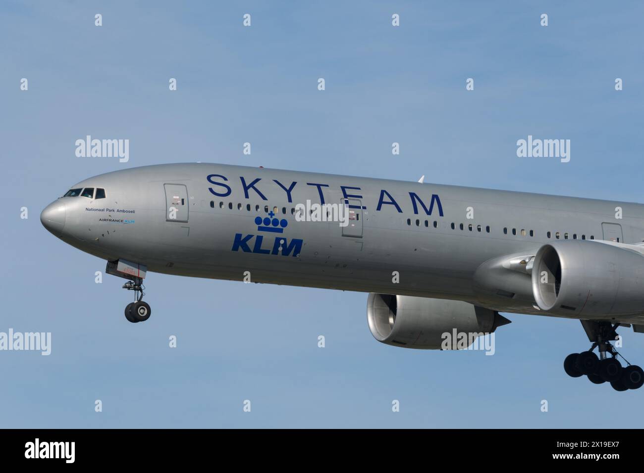 Bvd logo hi-res stock photography and images - Alamy