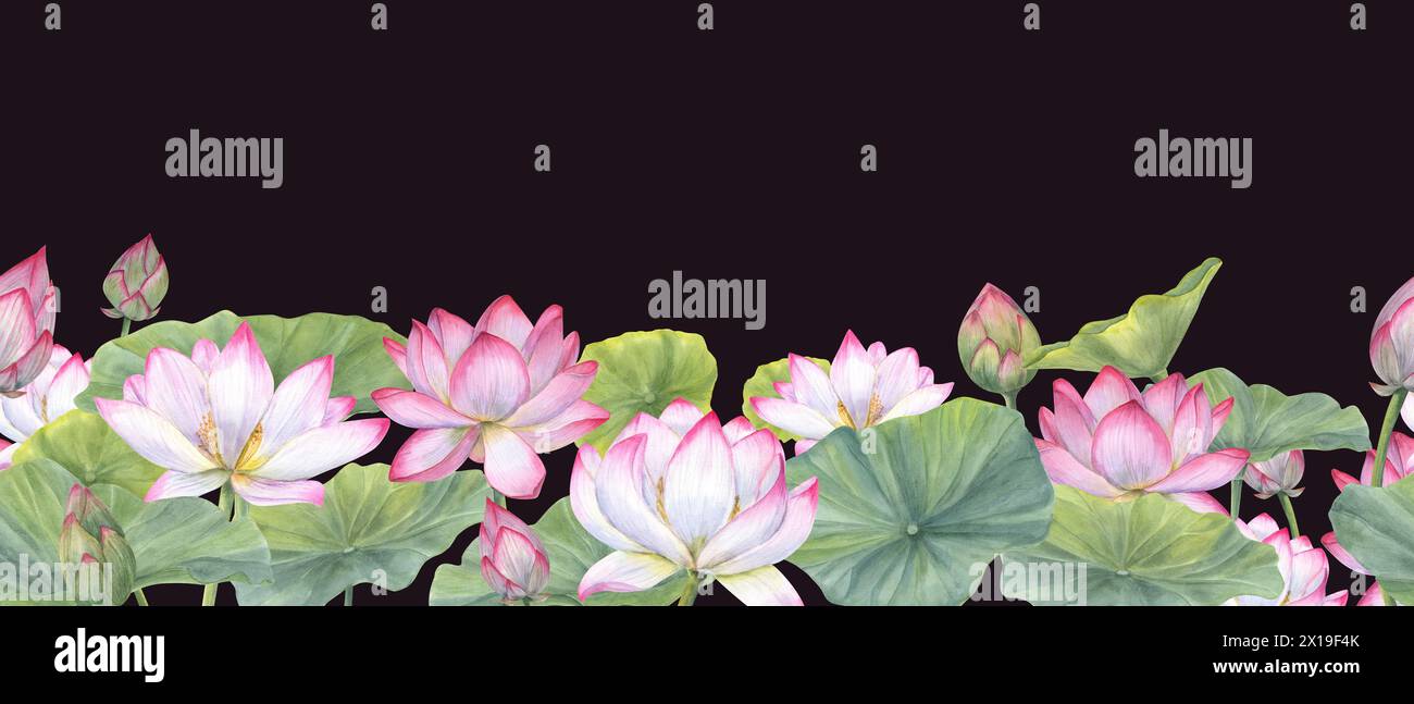 Seamless banner of Indian sacred lotus flowers with leaves. Water lily ...