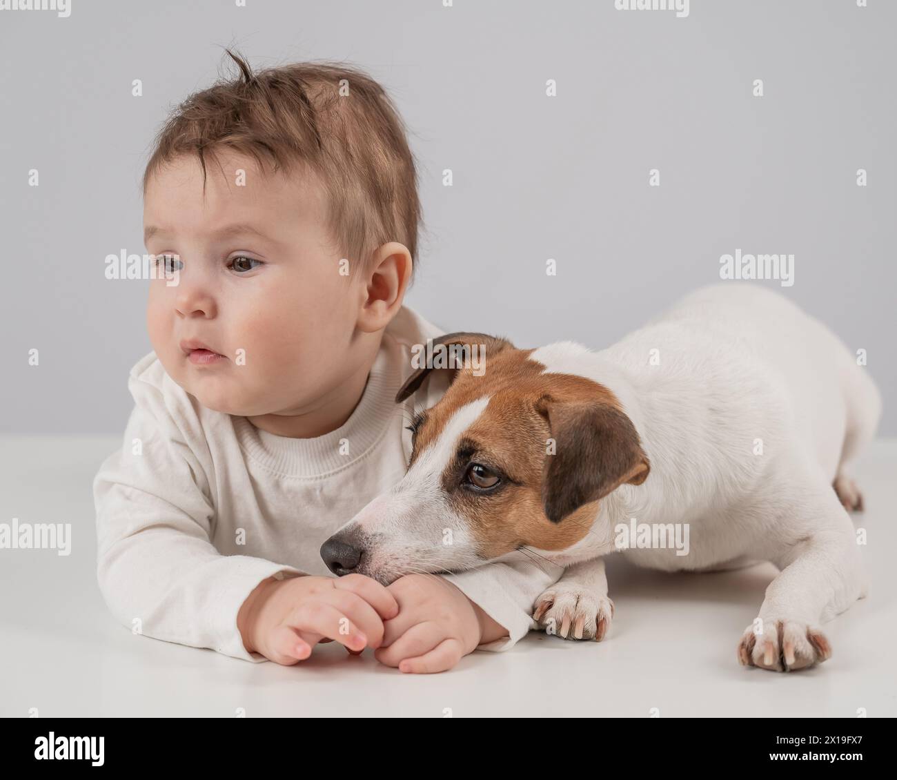 Cute baby boy and Jack Russell terrier dog lying in an embrace on a ...