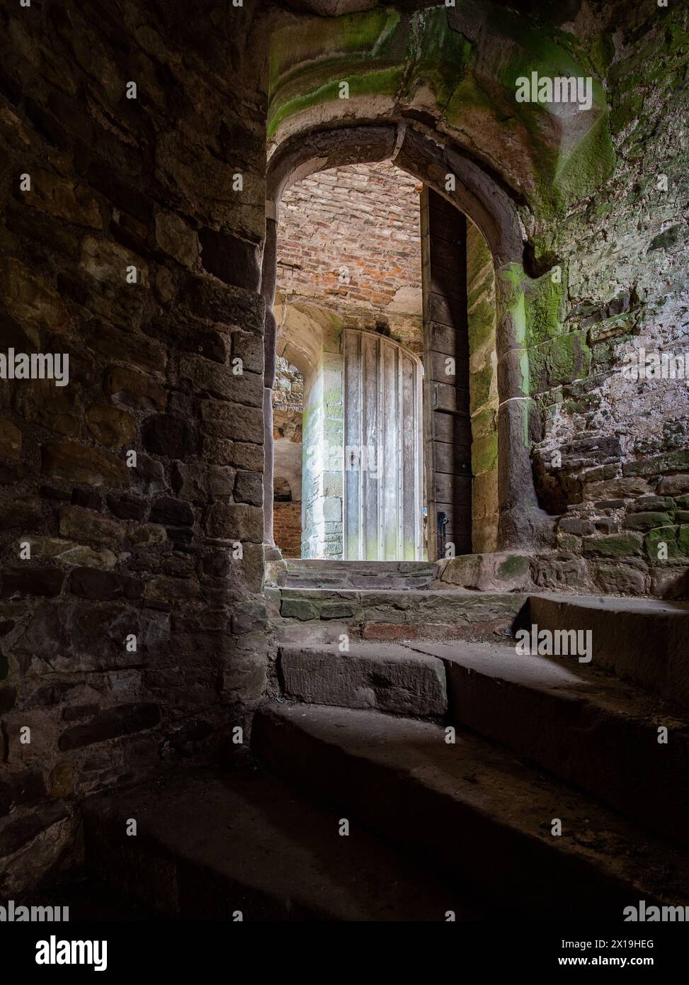 Raglan Castle interior, Monmouthshire, Wales, UK Stock Photo - Alamy