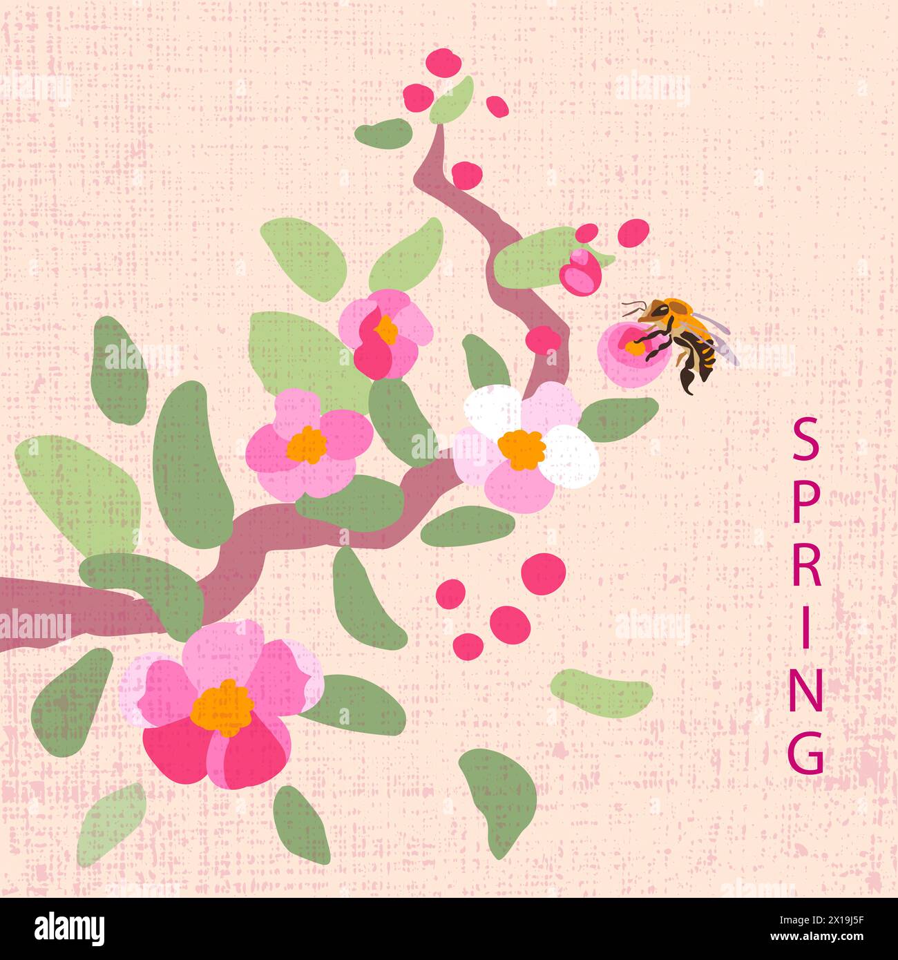 Spring poster square Frame traditional flowers apple tree branch pink ...