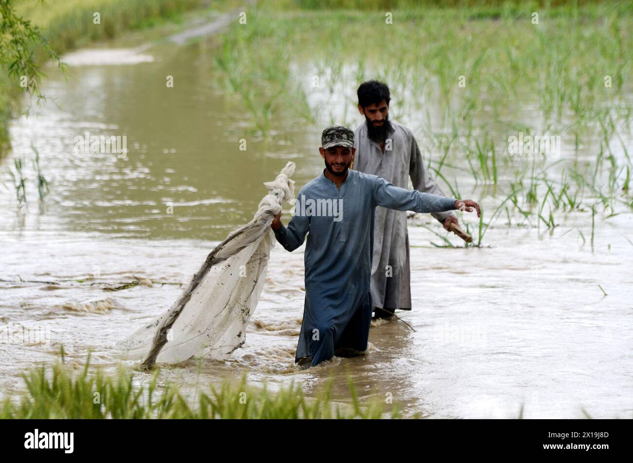 Peshawar, Peshawar, Pakistan. 15th Apr, 2024. Extreme weather ...