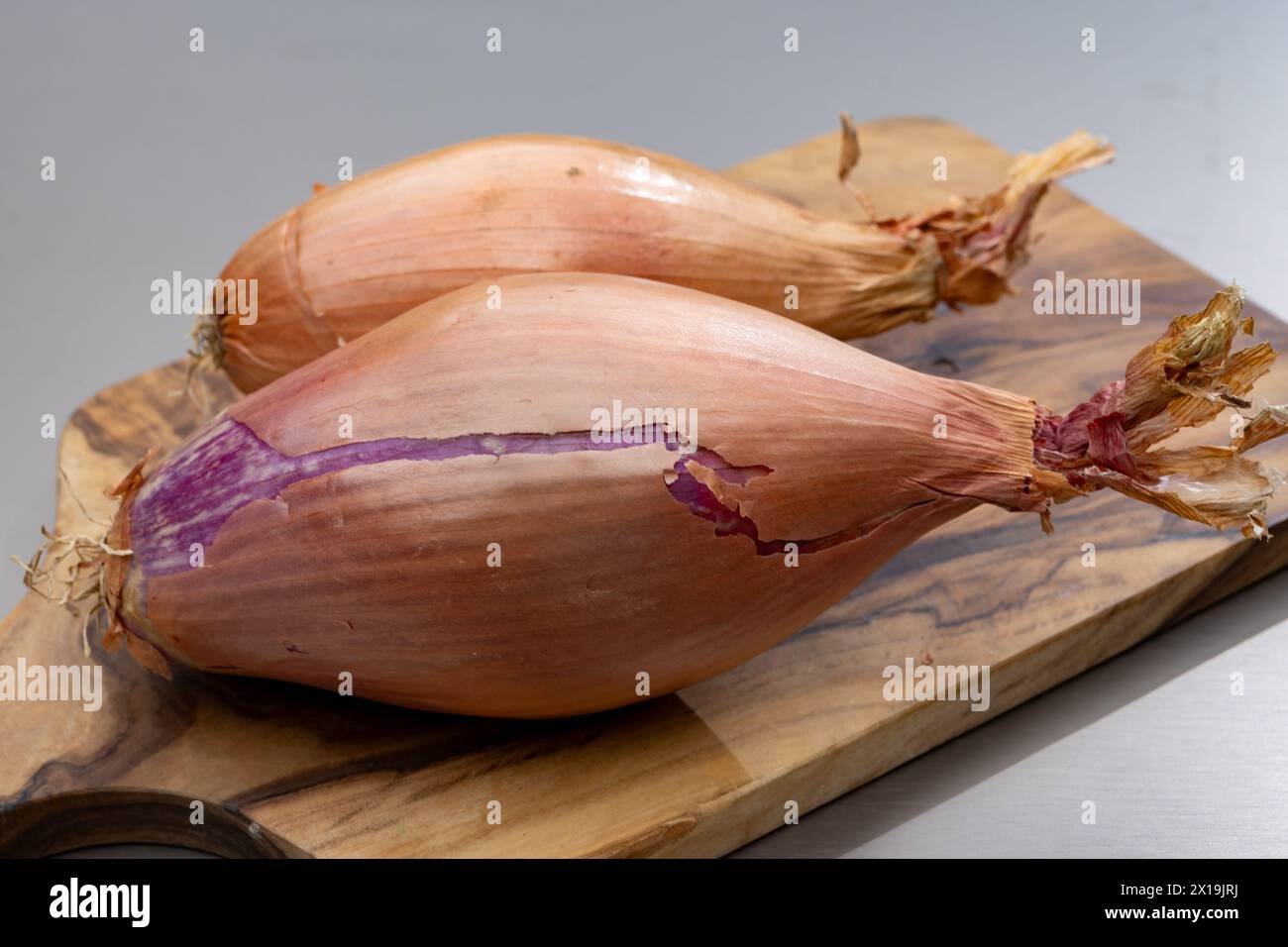 French long pink shallots grappe onion from Brittany, France in garden ...