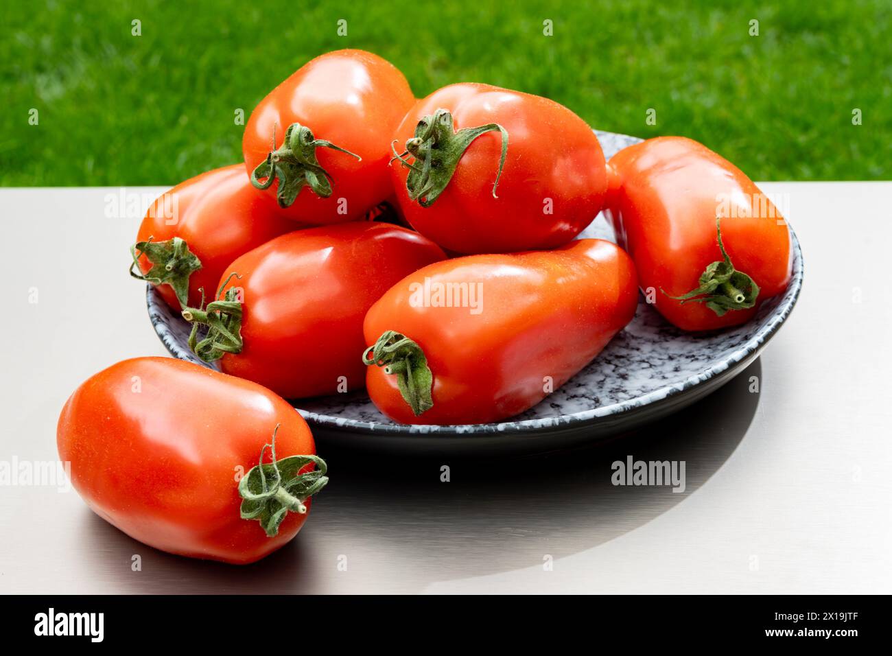 Long red ripe italian san marzano pasta sauce tomatoes in garden with ...