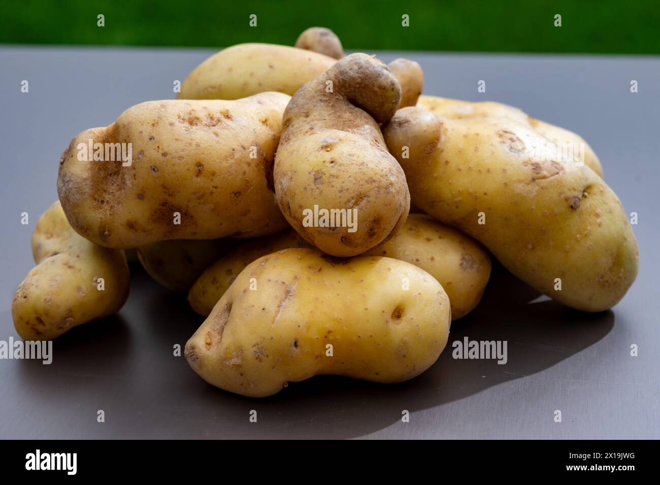 Ratte potato, La Ratte, La Reine Ratte du Touquet, or Asparges small ...