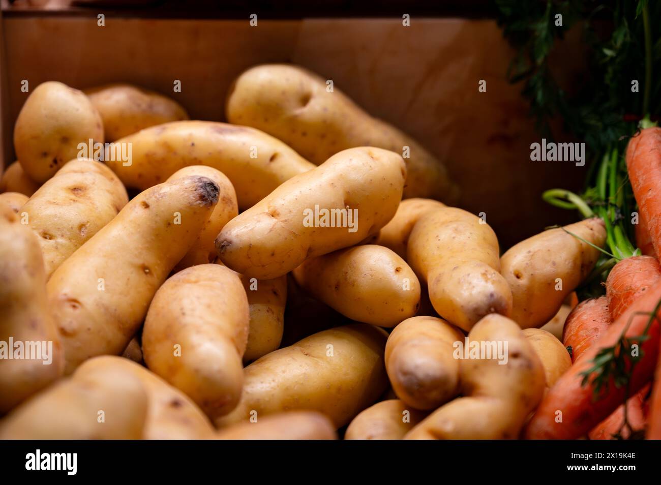 Ratte potatoes, La Ratte, La Reine Ratte du Touquet, or Asparges small ...