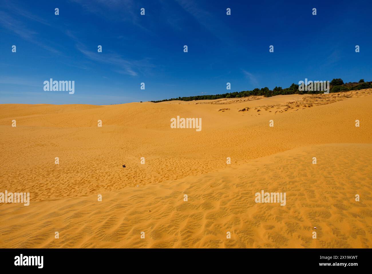 The red dunes of Mui Ne in Vietnam Stock Photo - Alamy