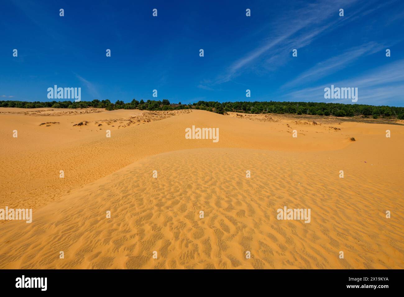 The red dunes of Mui Ne in Vietnam Stock Photo - Alamy