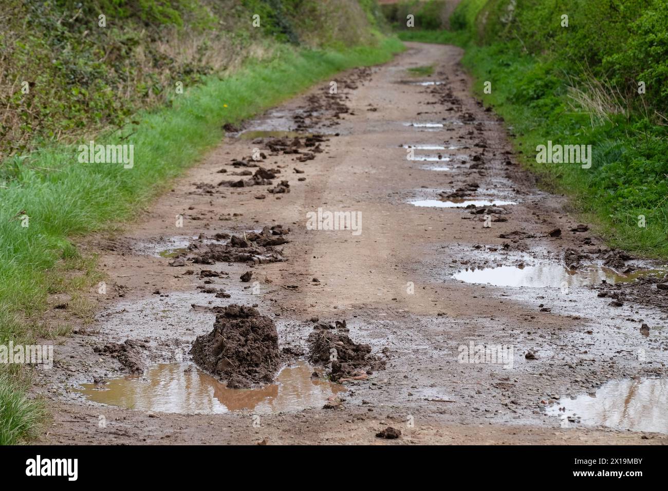 country path with mud and puddles Stock Photo - Alamy