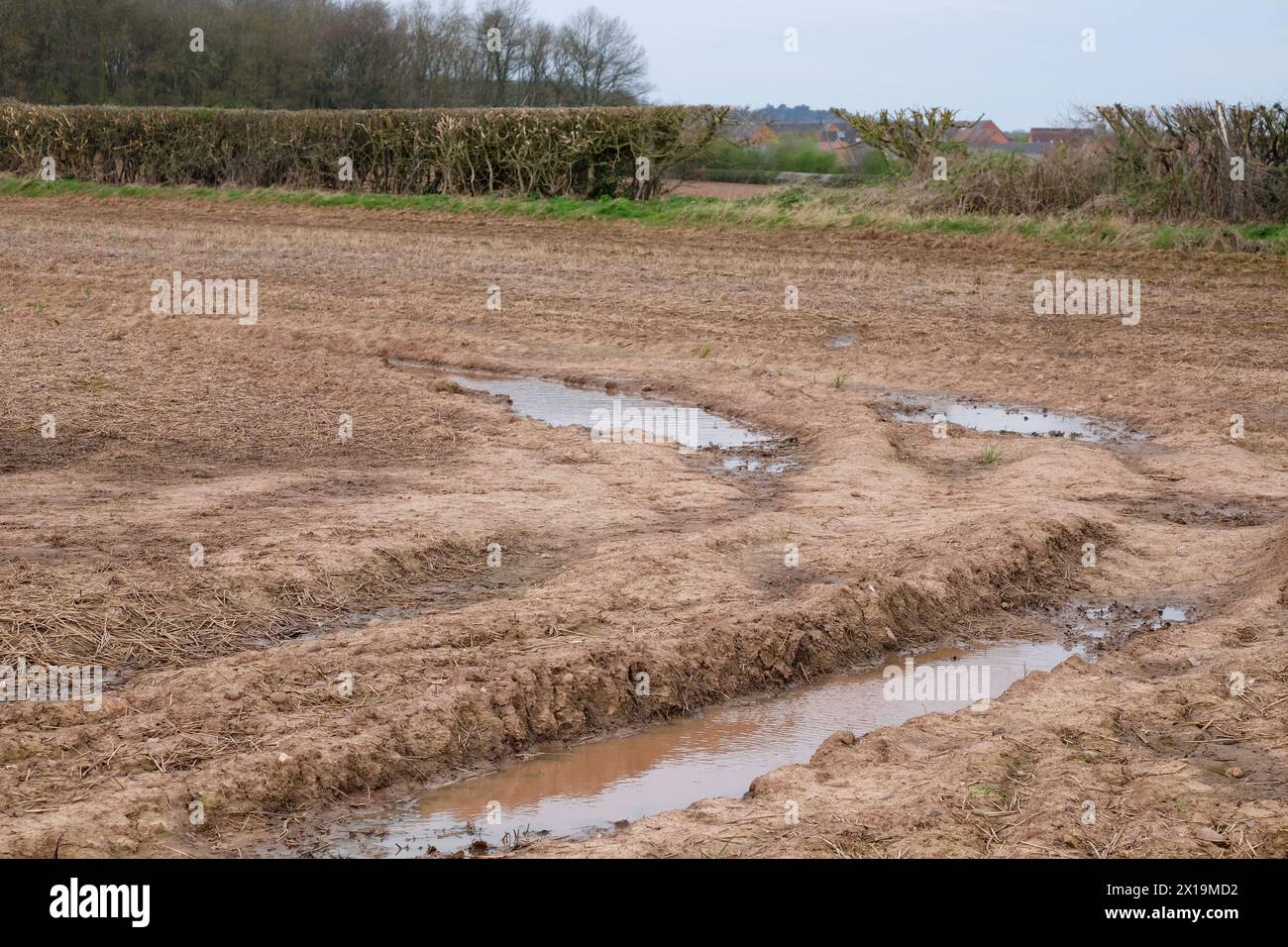 waterlogged farmers fields april 2024 Stock Photo - Alamy