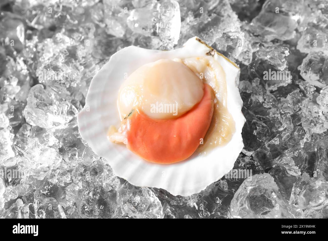 Ice cubes top view hi-res stock photography and images - Alamy