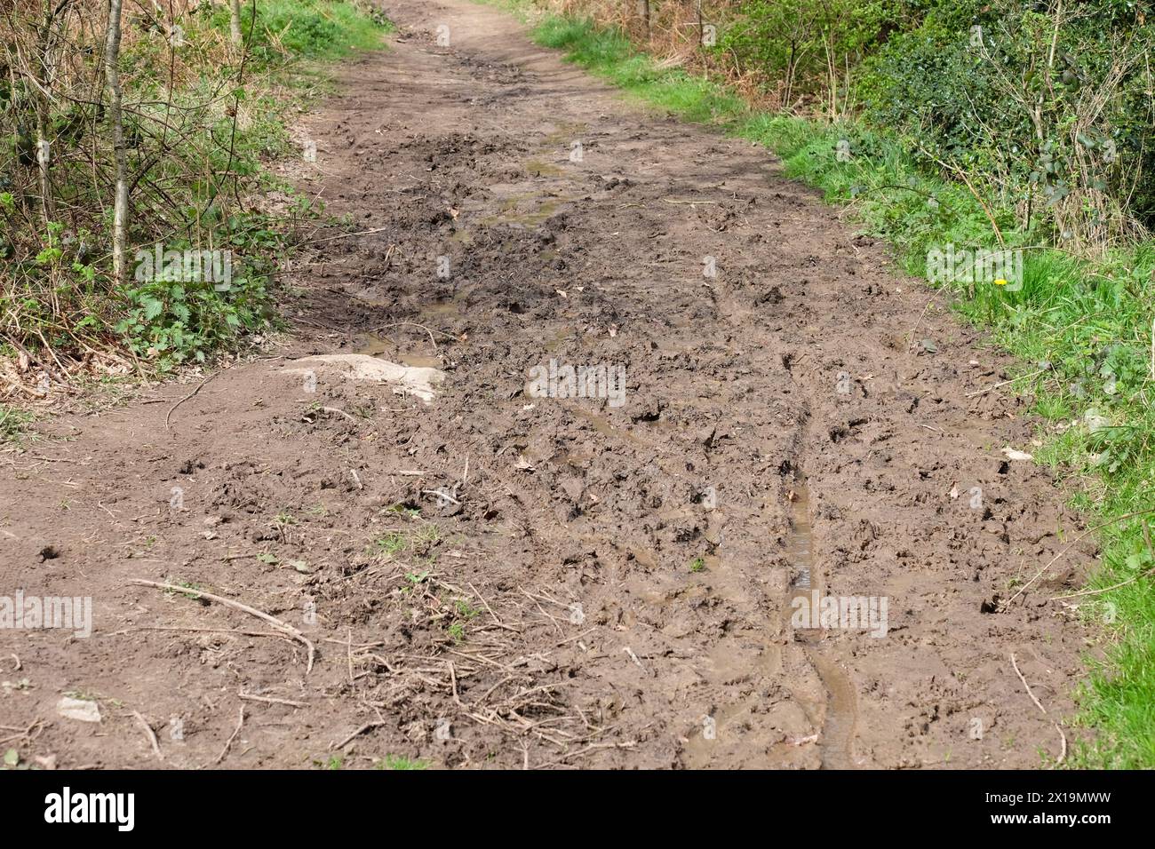 Flooded muddy rural path hi-res stock photography and images - Alamy