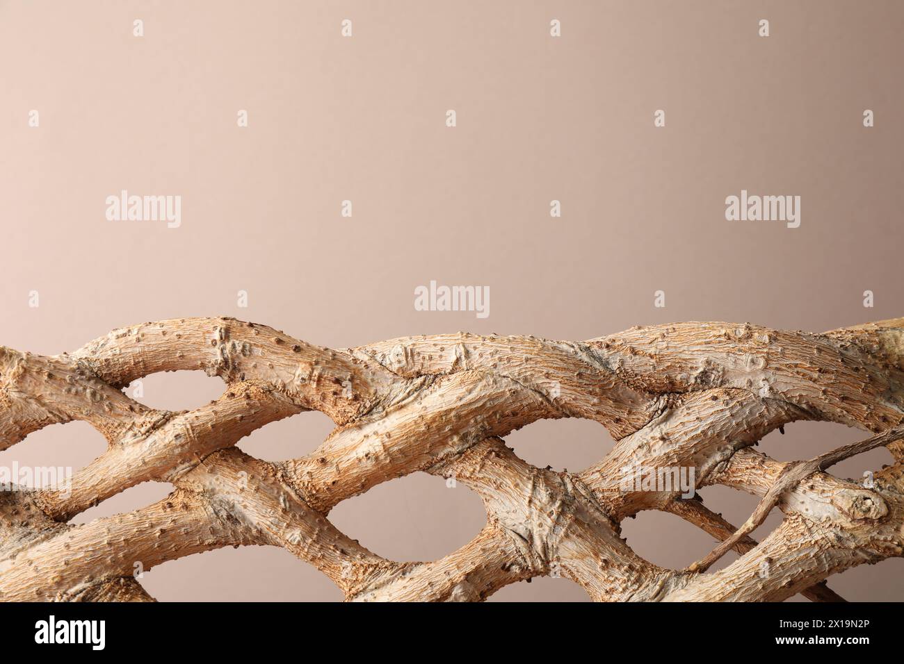 Braided trunk hi-res stock photography and images - Alamy