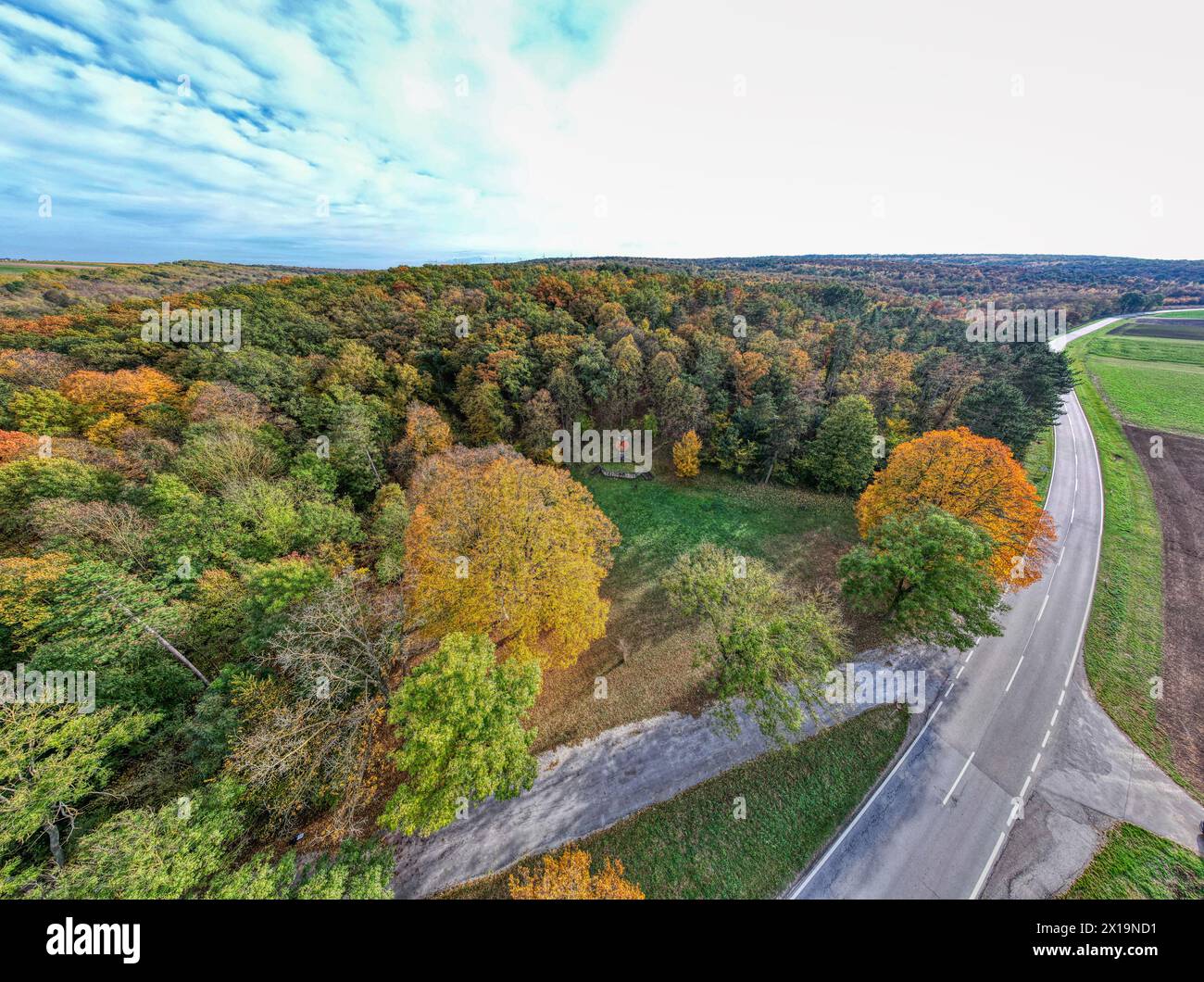 Matzner wald hi-res stock photography and images - Alamy
