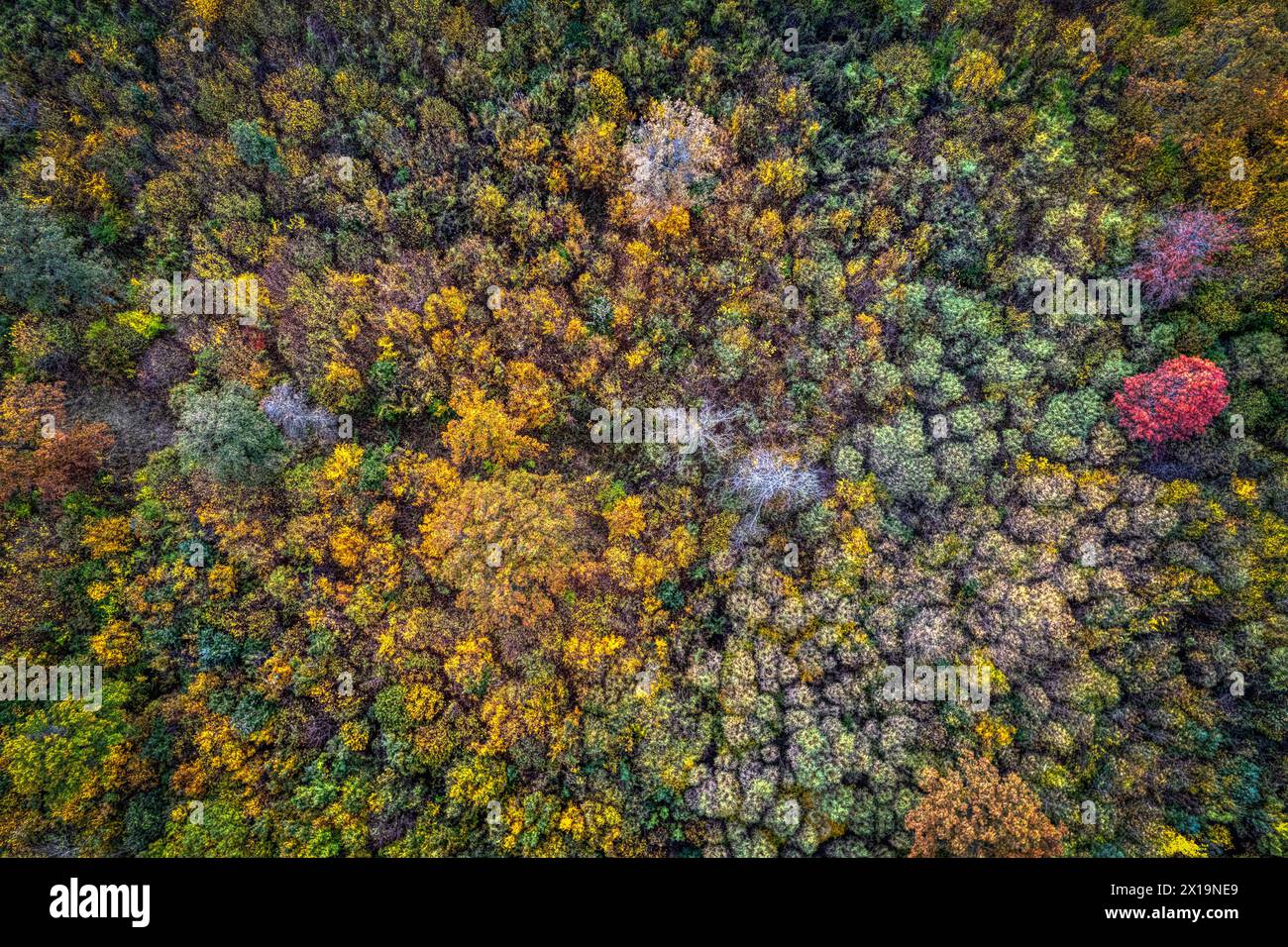Sieben rusten altar hi-res stock photography and images - Alamy