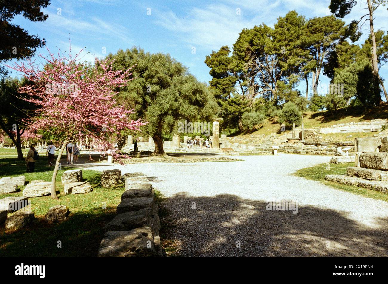 Ruins of the Heraion or Temple of Hera, Ancient Olympia, Peloponnese ...
