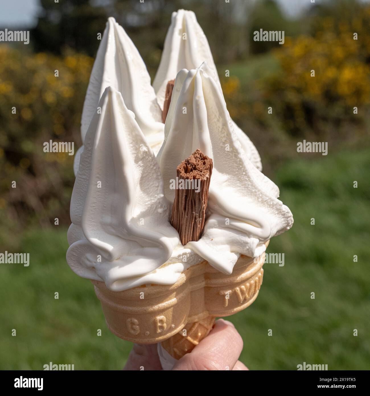 Cornet 99 hi-res stock photography and images - Alamy