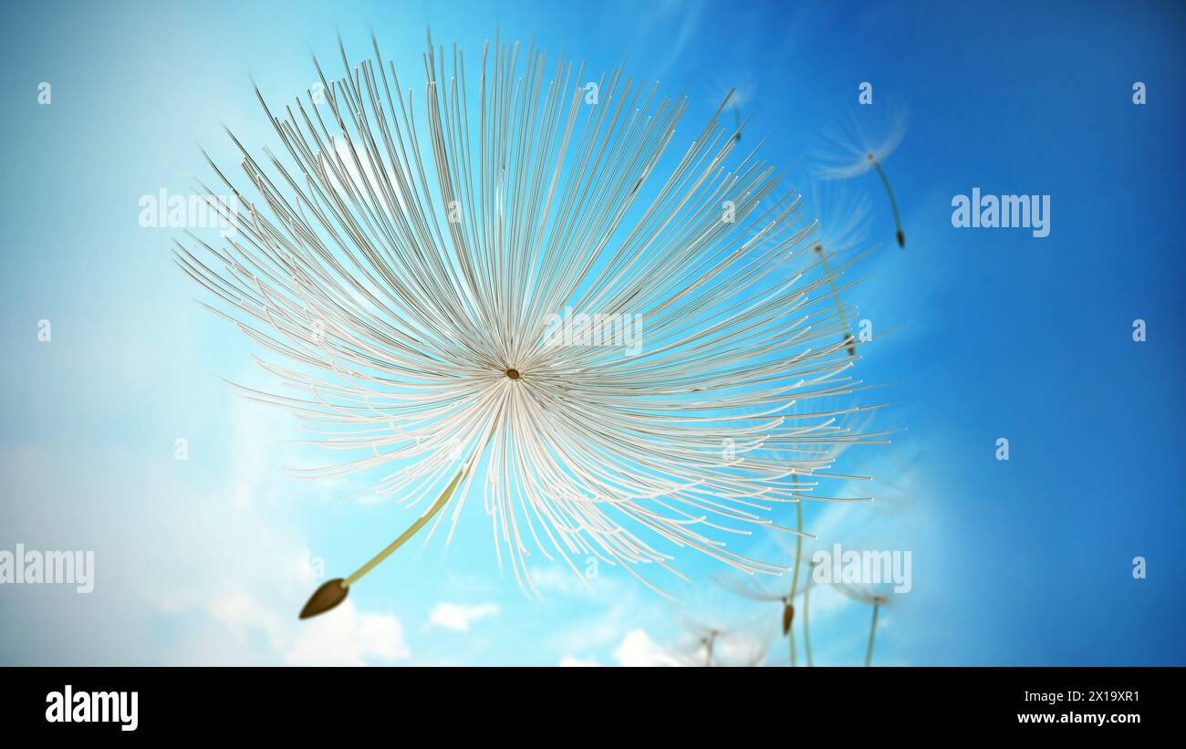 Dandelion leaves flying with the wind. 3D illustration Stock Photo - Alamy