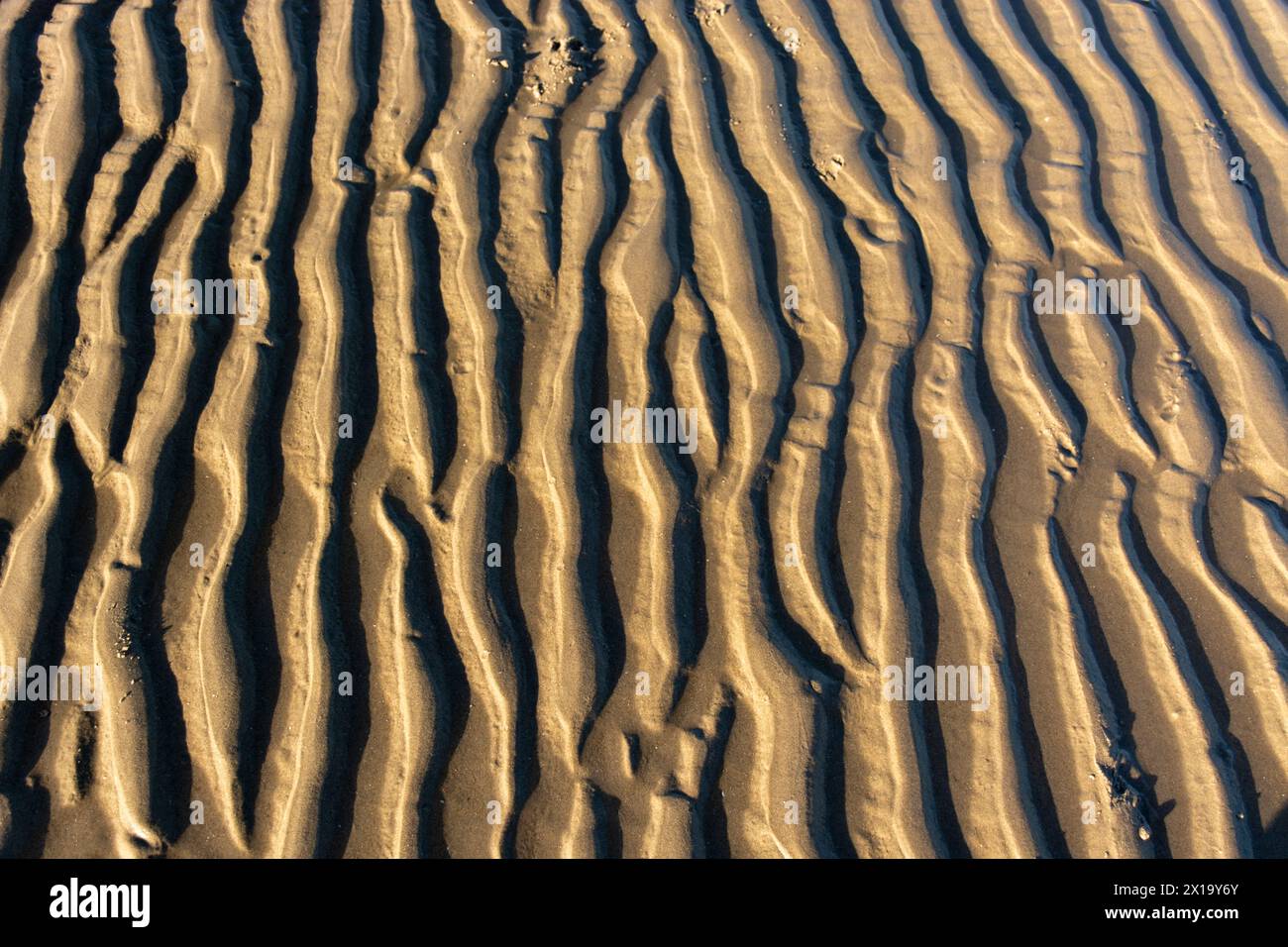 Shapes and patterns in the sand Stock Photo - Alamy