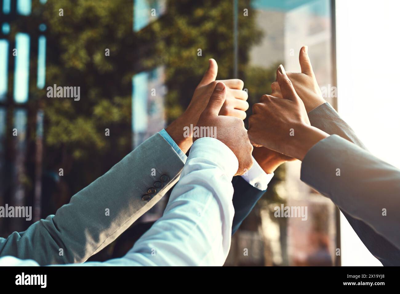 Diversity, business and hands of team thumbs up in office building for ...