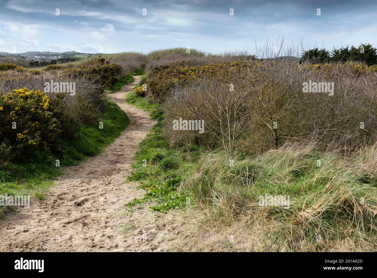 A rough sandy footpath trail through the vegetation behind Par Beach in ...