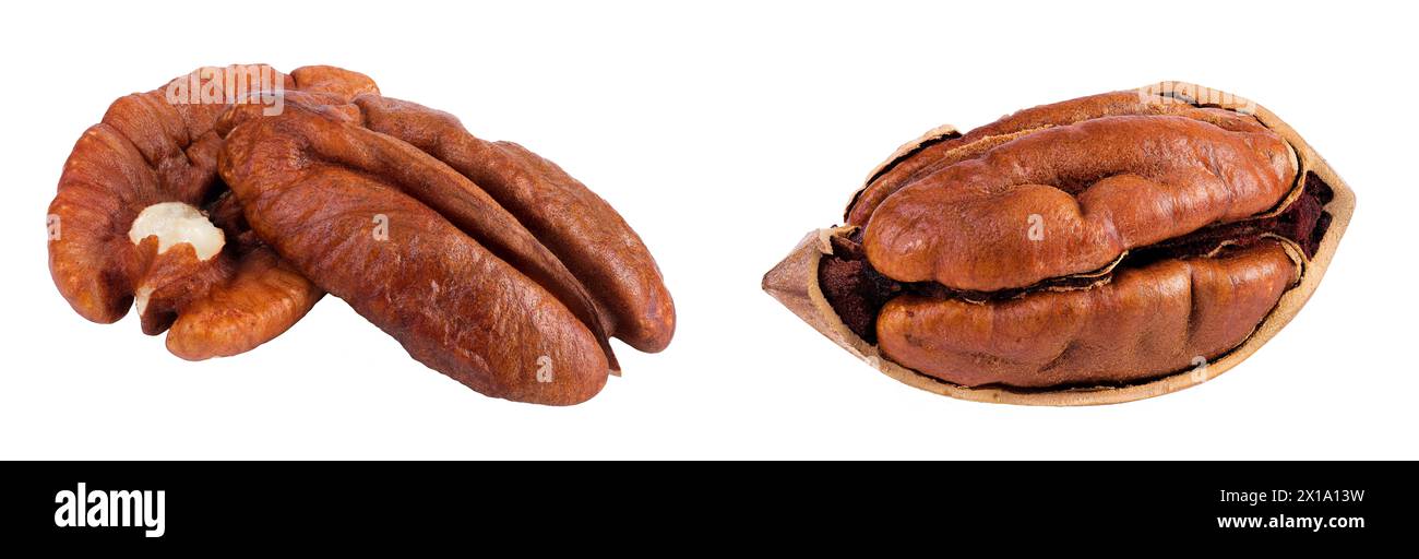 pecan nut half isolated on white background with full depth of field ...