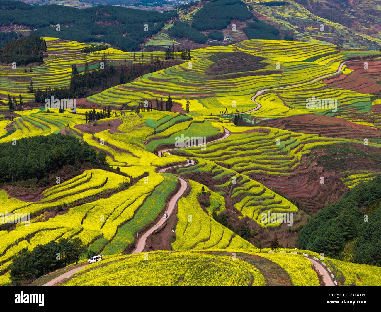 Louping hi-res stock photography and images - Alamy